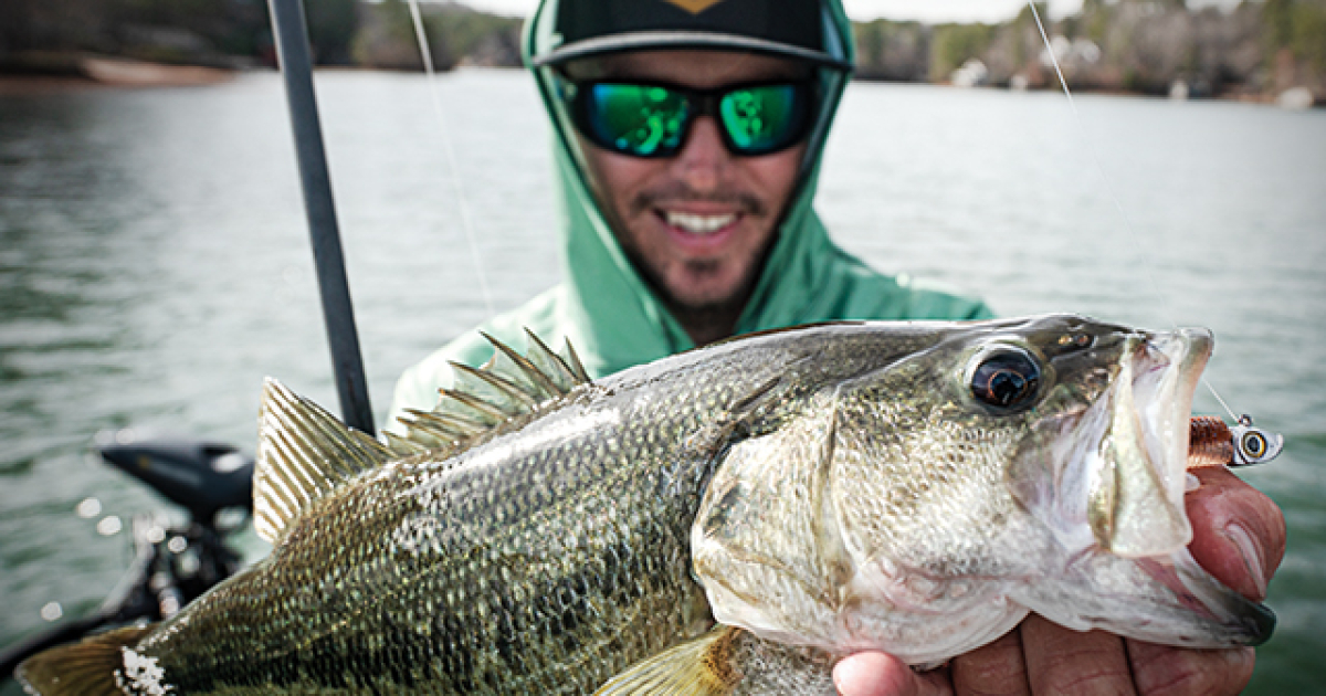 Fish For More | Swanson Russell