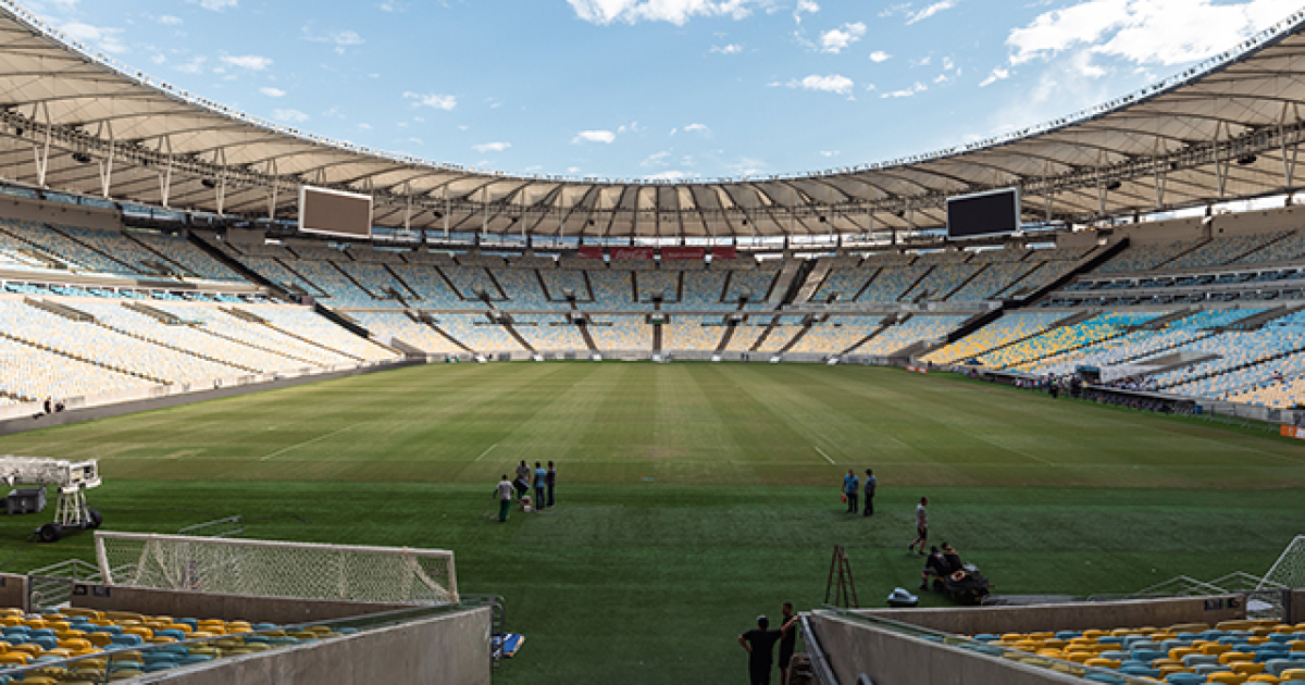 Champions are Grown | Swanson Russell